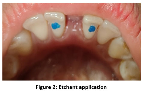 Enviro Dental Journal
