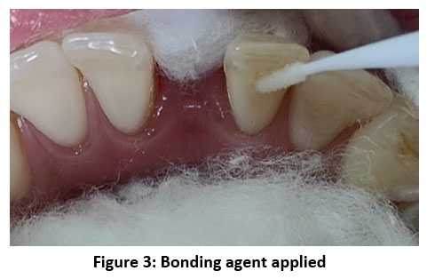 Enviro Dental Journal