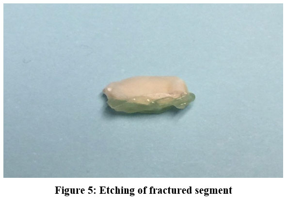Enviro Dental Journal